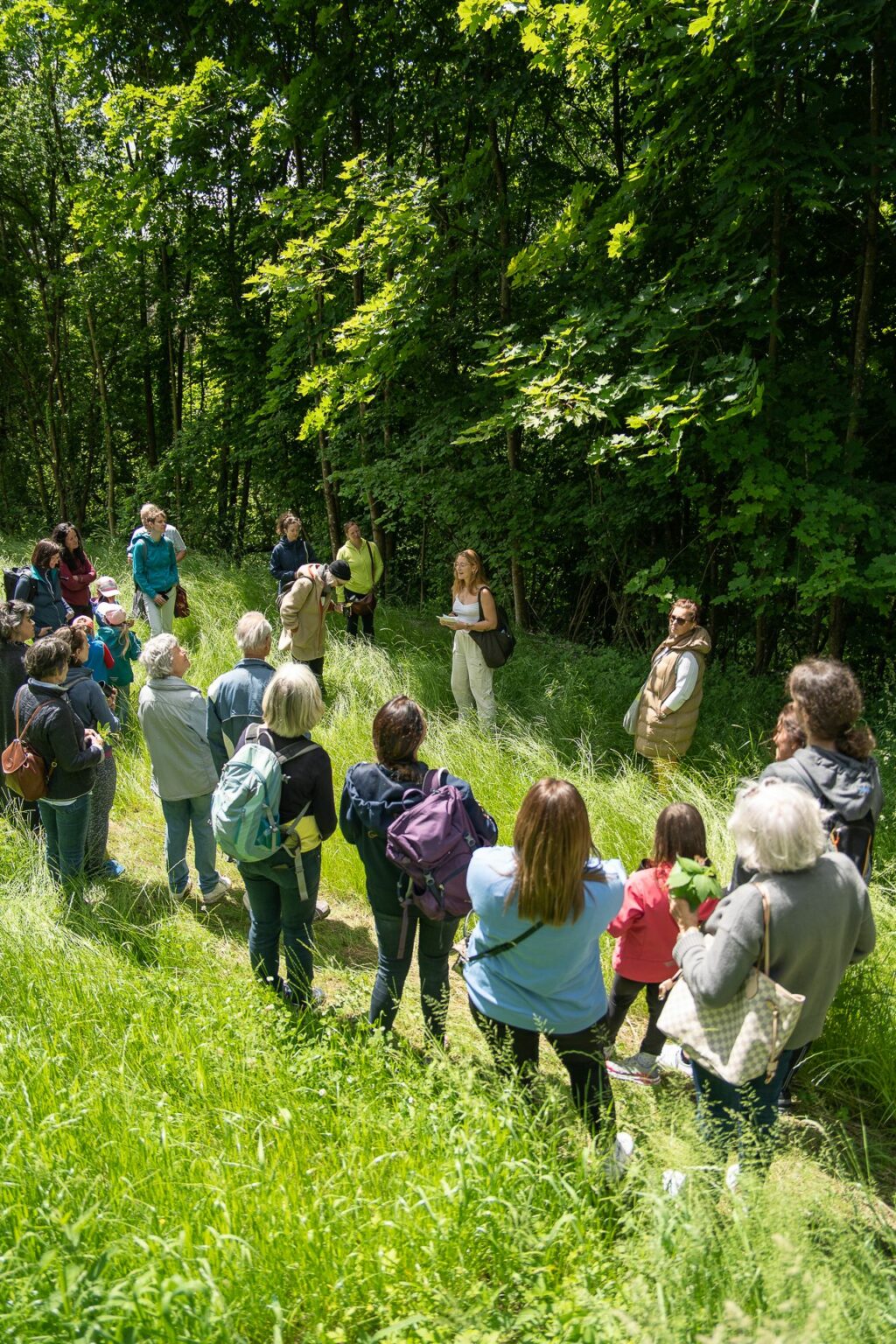 Flower Power Festival 2023 Kräuterführung: Blumen und Pflanzen in der Naturheilkunde — Kunstlabor 2